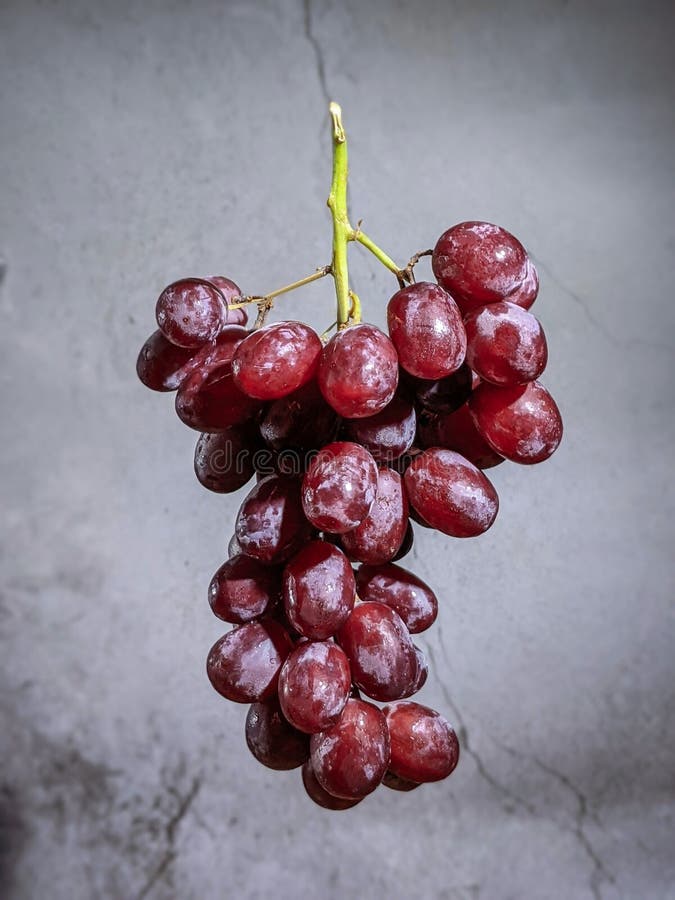 245 Floating Grapes Stock Photos - Free & Royalty-Free Stock Photos ...
