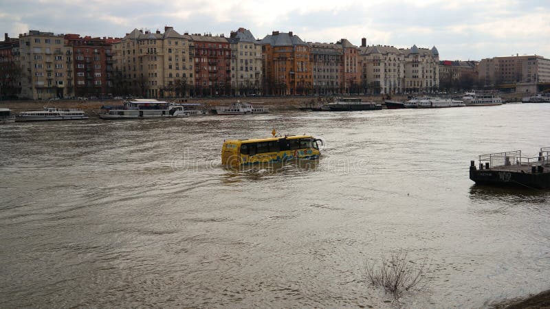 451 Floating Bus Stock Photos - Free & Royalty-Free Stock Photos from ...