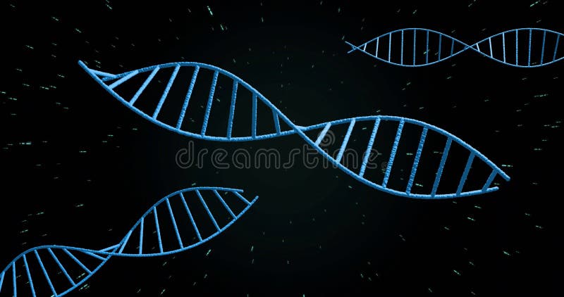 Central Blue Dna Double Helix Model Stock Photos - Free & Royalty-Free ...