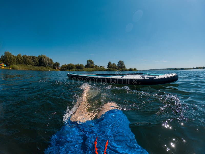Floating in Clear Water with Paddleboard Stock Photo - Image of summer ...