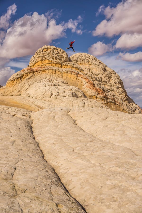 Clouds Floating Out of a Tree Stock Photo - Image of dream, north ...