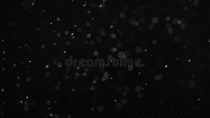 Floating Different Sized Motes are Flying on Black Studio Background ...