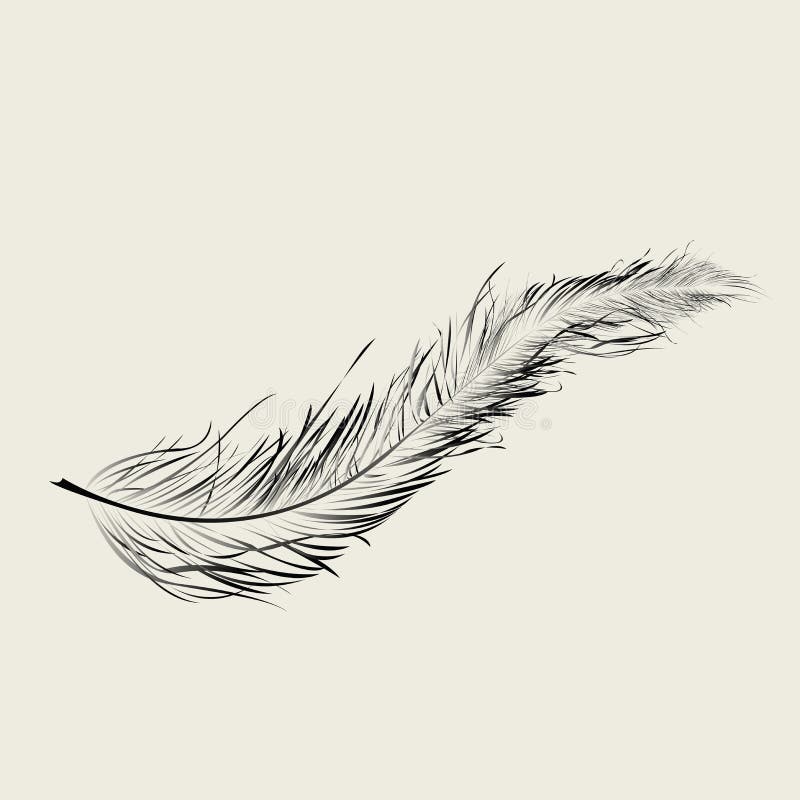 Float Feather Stock Illustrations – 2,510 Float Feather Stock ...