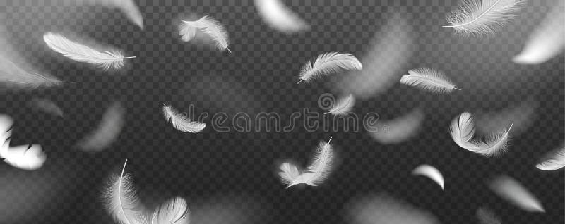Floating Feathers Pattern Realistic Vector Illustration Stock ...