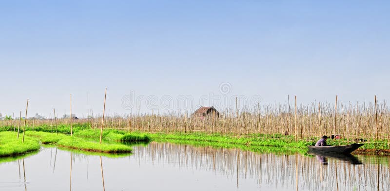Floating Fields on the Lake in Inlay, Myanmar Editorial Photo - Image ...