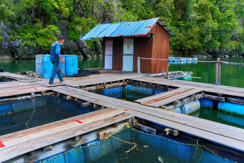 A Floating Fish Farm on the Island of Langkawi in Malaysia Editorial ...