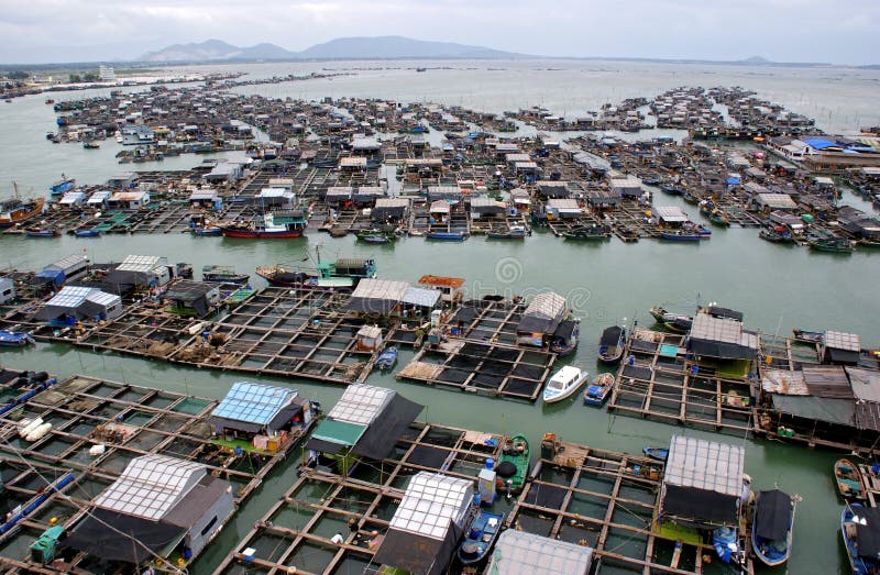 Fujian Xiapu stock photo. Image of coastline, breeding - 15665166