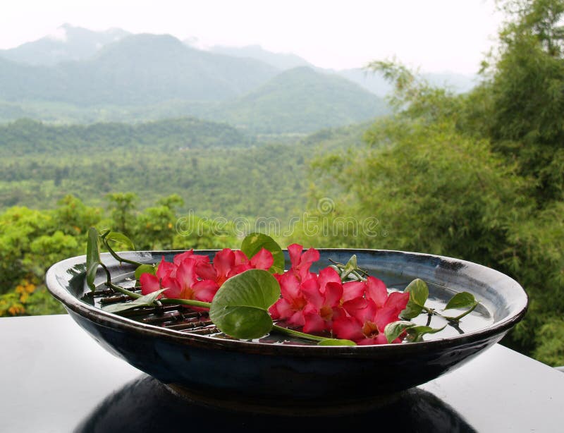 Floating Flowers stock image. Image of botanical, liquid - 1384645