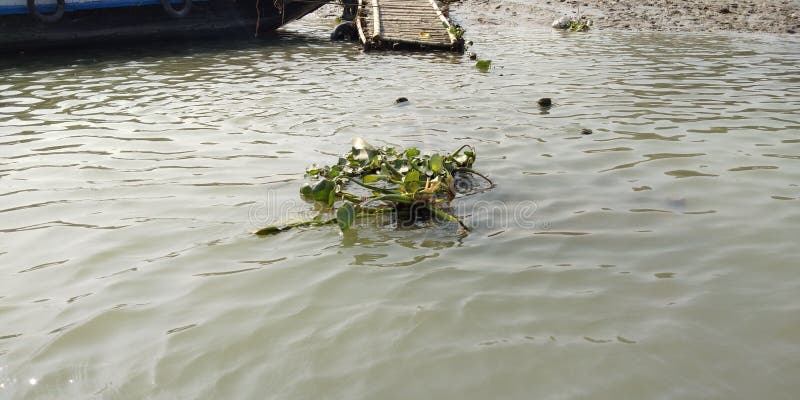 Floating Garbage in the River Bank Stock Photo - Image of bank, river ...