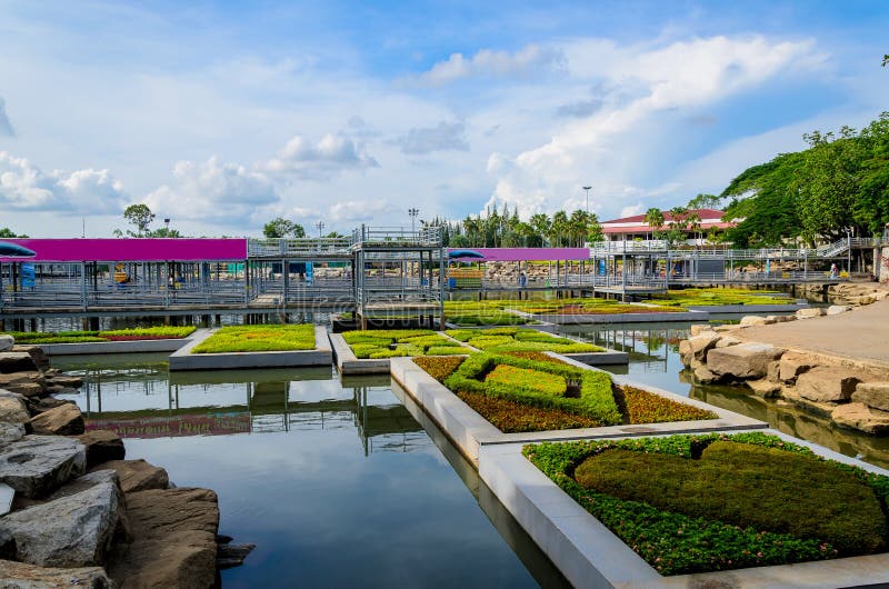 Floating garden stock image. Image of happy, field, beautiful - 31150577