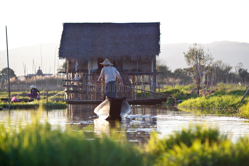 Floating Garden on Inle Lake, Shan State, Myanmar Editorial Stock Photo ...