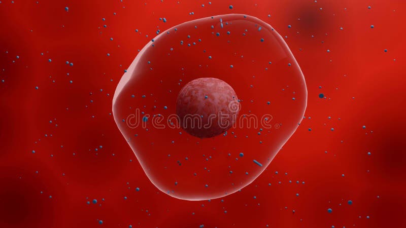 Floating Healthy Cell in Liquid. Laboratory Research or Experiment ...