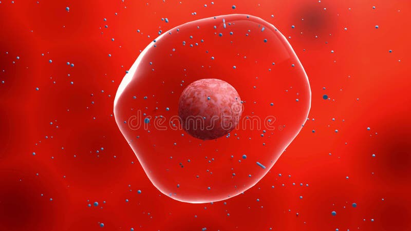 Floating Healthy Cell in Liquid. Laboratory Research or Experiment ...