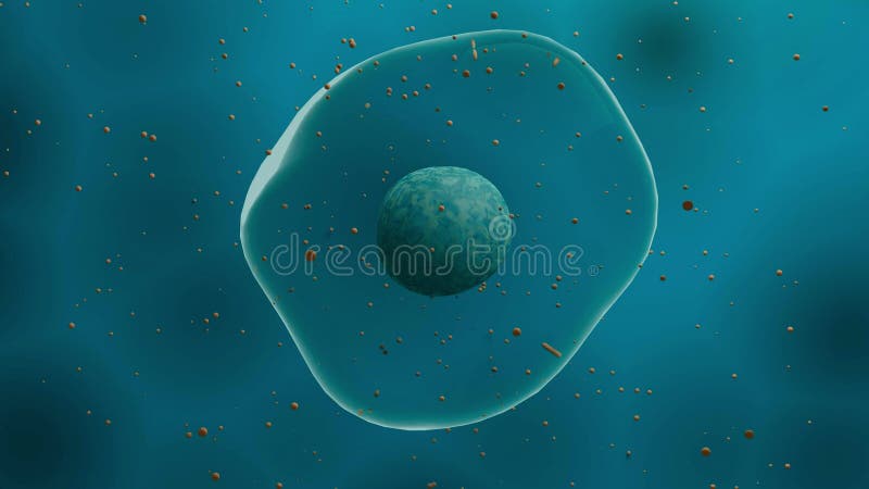 Floating Healthy Cell in Liquid. Laboratory Research or Experiment ...
