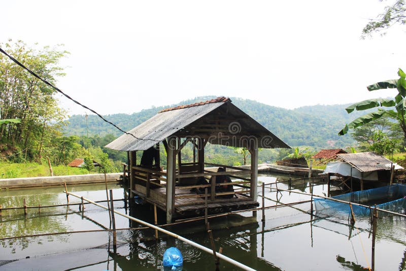 Floating House Above the Pool in Village Stock Image - Image of shack ...