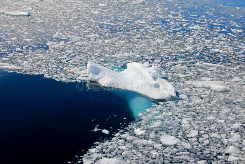 Floating Ice in Antarctic Peninsula Stock Image - Image of majestic ...