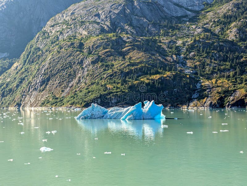 Floating Ice in the Endicott Arm, Alaska Stock Image - Image of huge ...