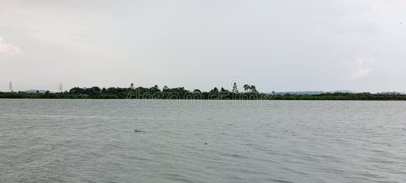 The Floating Island of Lake Victoria Stock Photo - Image of victi ...