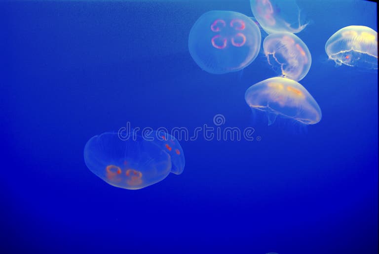 3,888 Float Tank Stock Photos - Free & Royalty-Free Stock Photos from ...