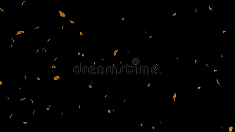 Floating Leaf Animation Video with Black Background 3d Rendering, High ...