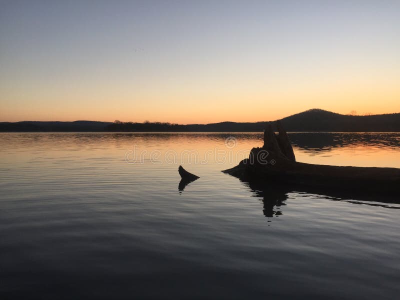 Floating Log in the Morning Stock Photo - Image of sunrise, morning ...