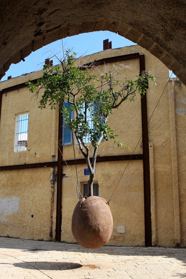 Floating Orange Tree, Jaffa Stock Photo - Image of history, building ...