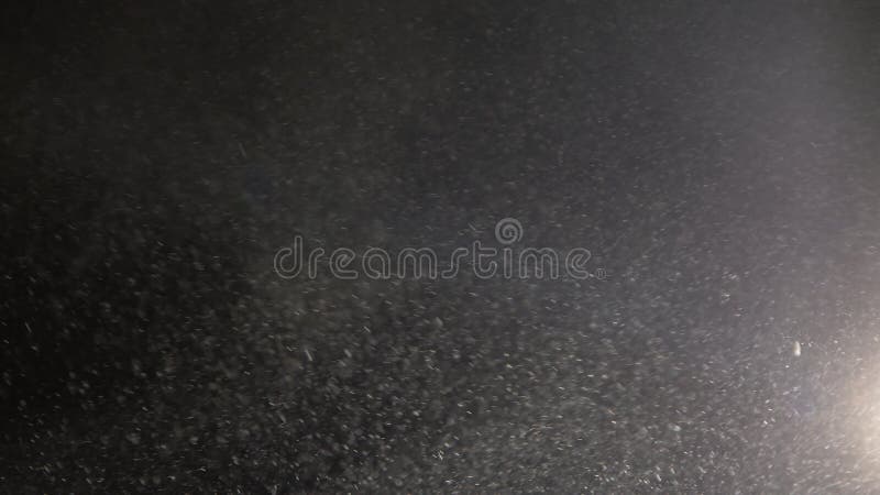 Floating Organic Small Particles are Shimmering on a Black Background ...