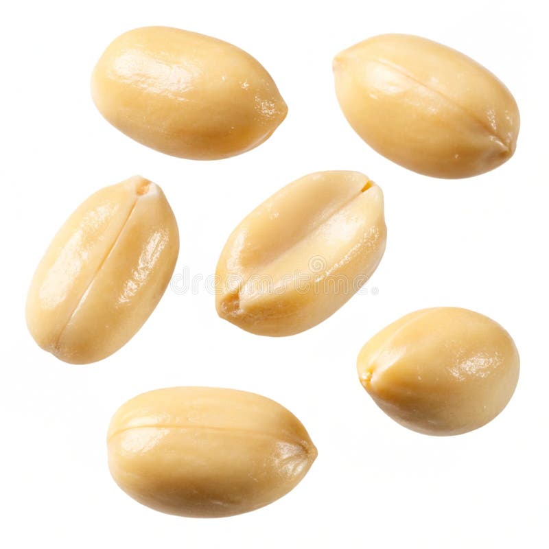 Floating Peeled Peanuts Isolated on White Background Stock Illustration ...