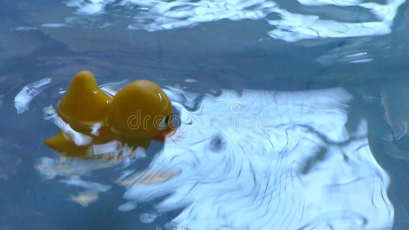 Floating Plastic Duck Inside the Pool of Blue Water Stock Video - Video ...