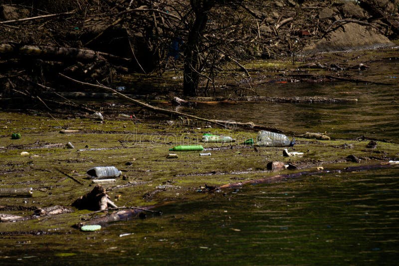 Floating Plastic Trash in a River Dam. Stock Photo - Image of ...