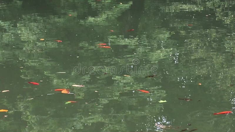 Floating-point Text Written on Programming Code Abstract Technology ...