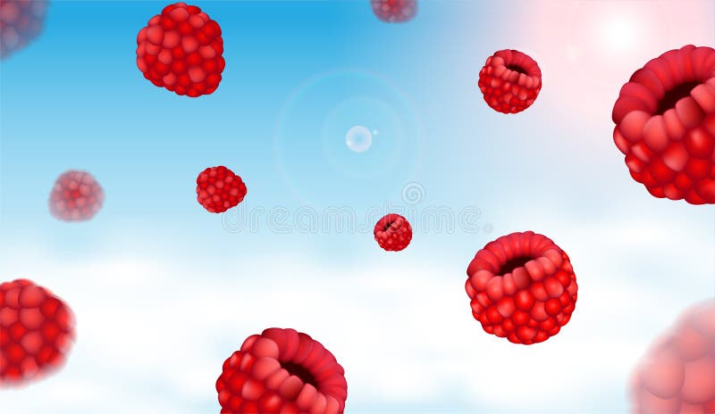 Floating Raspberries with Blue Sky Background Stock Vector ...