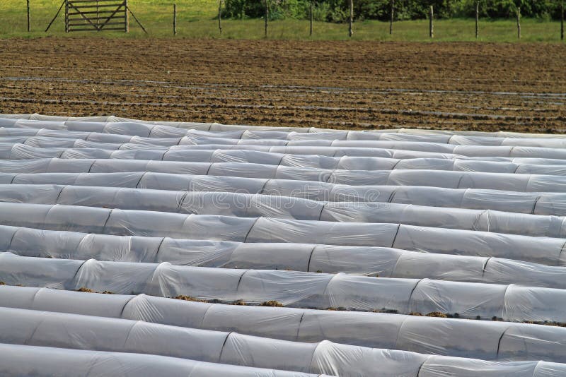 Floating Row Covers stock photo. Image of earh, structure - 143639070