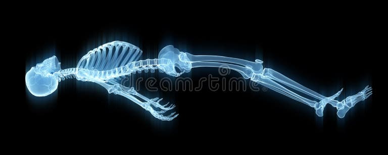 Floating skeleton stock illustration. Illustration of biology - 34776602