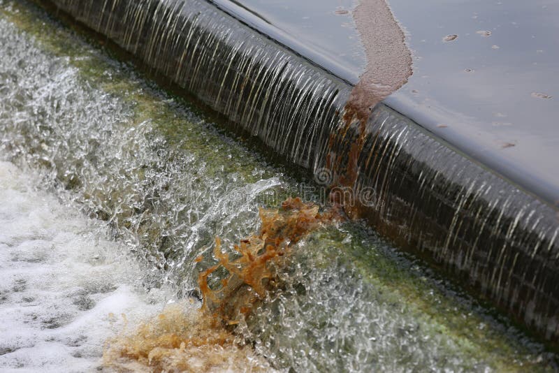 Floating sludge stock photo. Image of dirt, alga, blister - 42066972