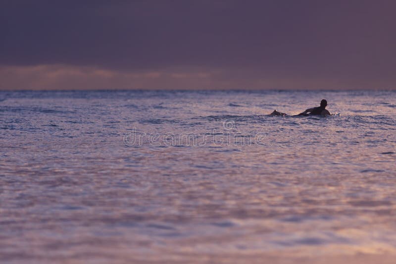 Floating surfer stock image. Image of surfing, surf, recreation - 30716343