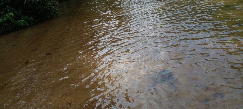 Water down the drain stock image. Image of wasted, washing - 2444031