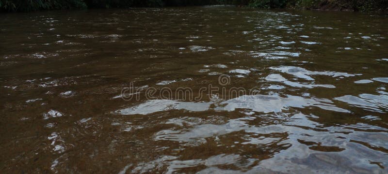 Water down the drain stock image. Image of wasted, washing - 2444031