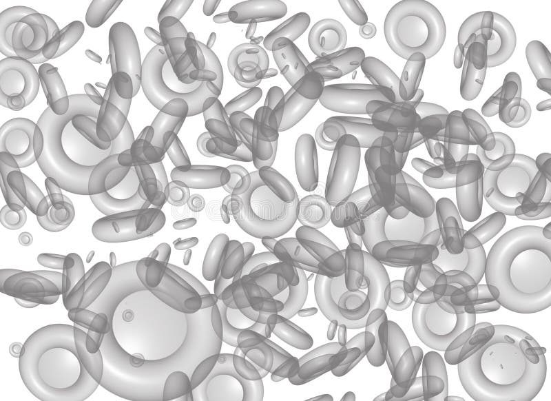 Animal Cell and Plant Cell Line Stock Illustration - Illustration of ...