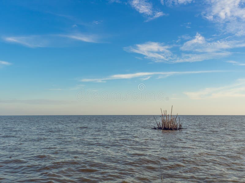 Floating Wood Buoy on Blue Sea Stock Photo - Image of indicator, color ...