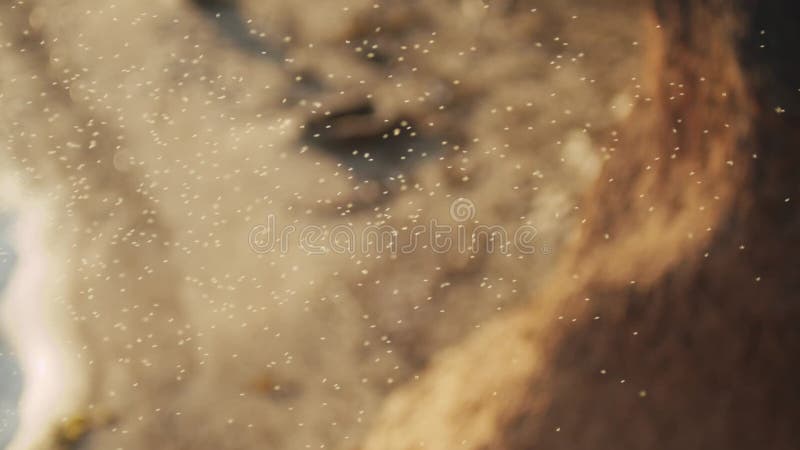 Floating Yellow Dust Particles on Blurred Background Stock Video ...