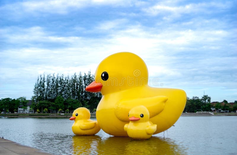 The Floating Yellow Rubber Ducks Balloon Float on the Nong Prachak Lake ... The Floating Yellow Rubber Ducks Balloon Float on the Nong Prachak Lake ...