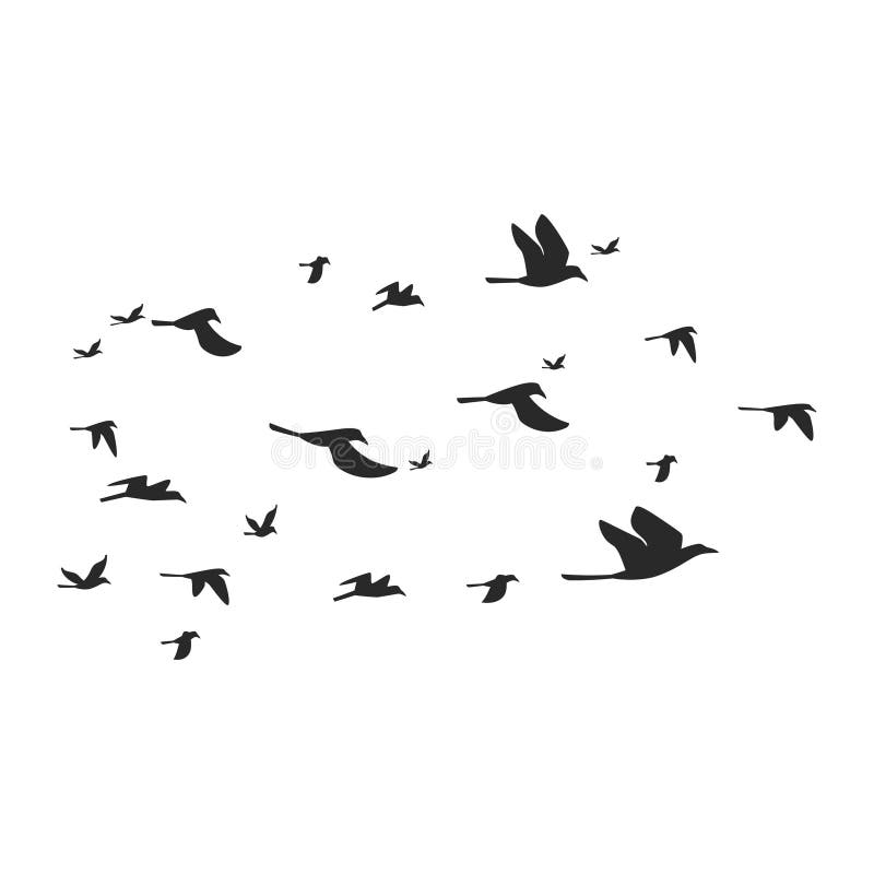 Flock of Bird Illustration stock vector. Illustration of flock - 373300636