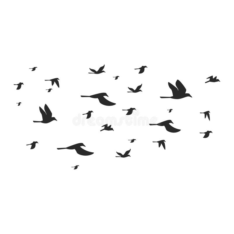 Flock of Bird Illustration stock vector. Illustration of decoration ...
