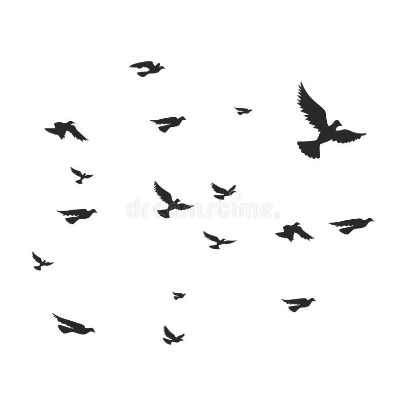 Flock of Bird Illustration stock vector. Illustration of flock - 373300710