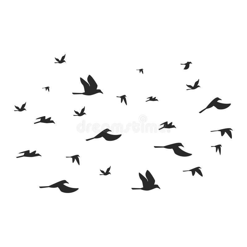 Flock of Bird Illustration stock vector. Illustration of decoration ...
