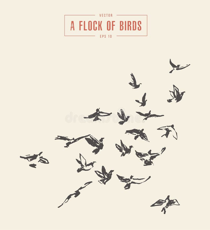 A Flock of Birds Drawn Vector Illustration, Sketch Stock Vector ...