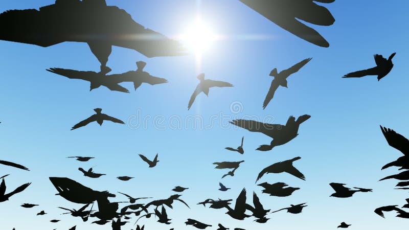 Flock of Birds Flying Across the Screen Stock Video - Video of flapping ...