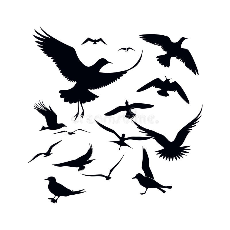 A Flock of Birds Flying in a Circle Stock Vector - Illustration of ...