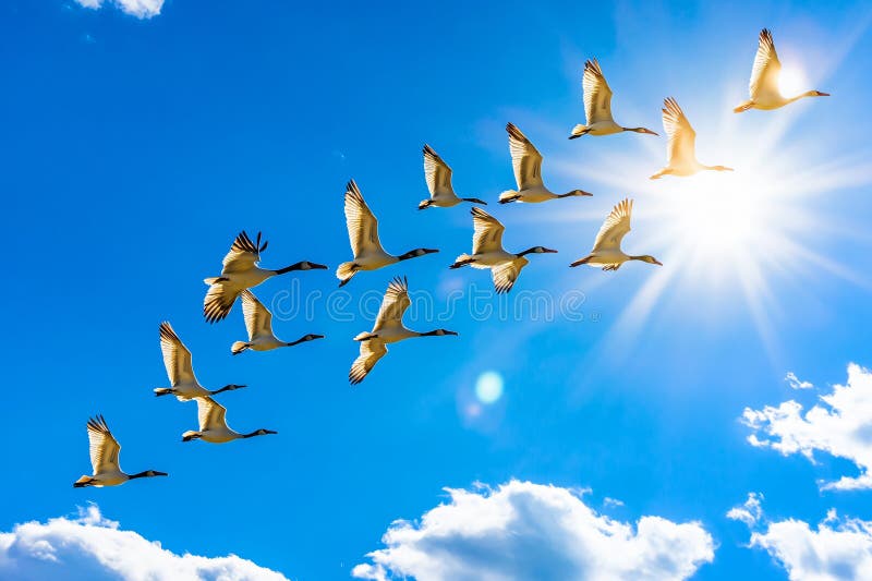A Flock of Birds Flying in a Line Across a Blue Sky Stock Illustration ...